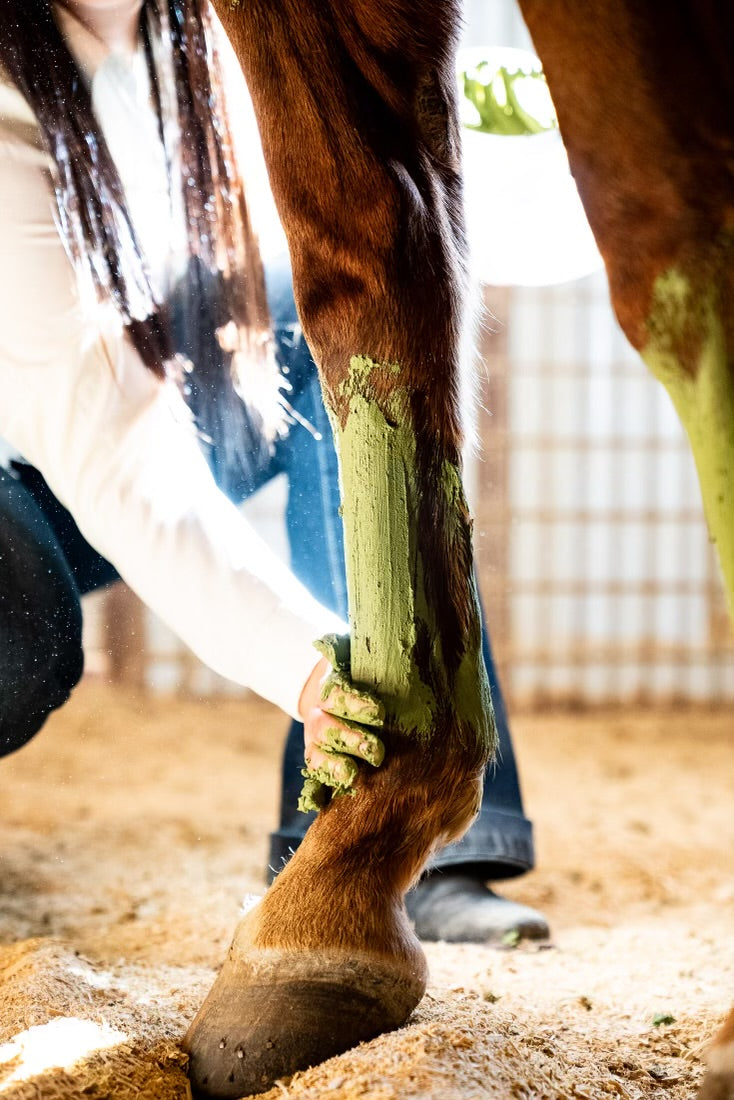 EQUIDRAW — All-Natural Drawing Poultice – EQUIVOLVE